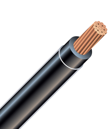T90 12 AWG Stranded Electrical Wire - Black 300m/Roll (Electrical Wire ...